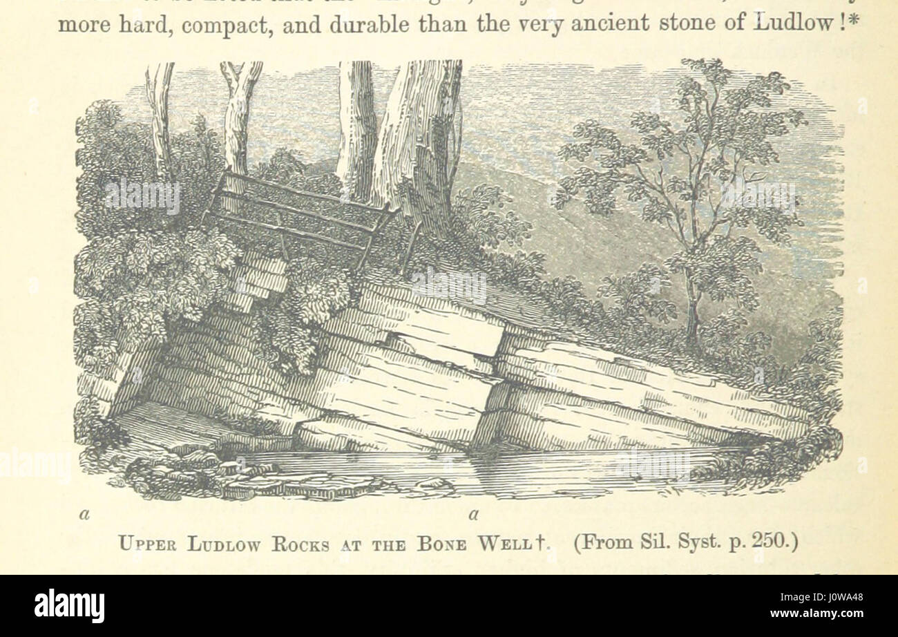 This work on Siluria explores the history of ancient rocks that contain ...