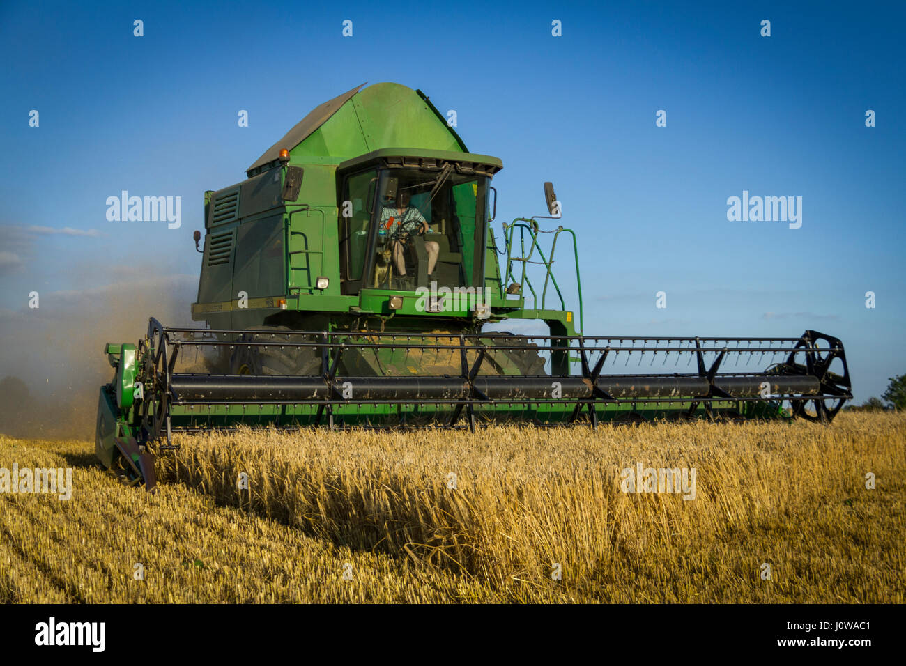 Combining the barley Stock Photo - Alamy