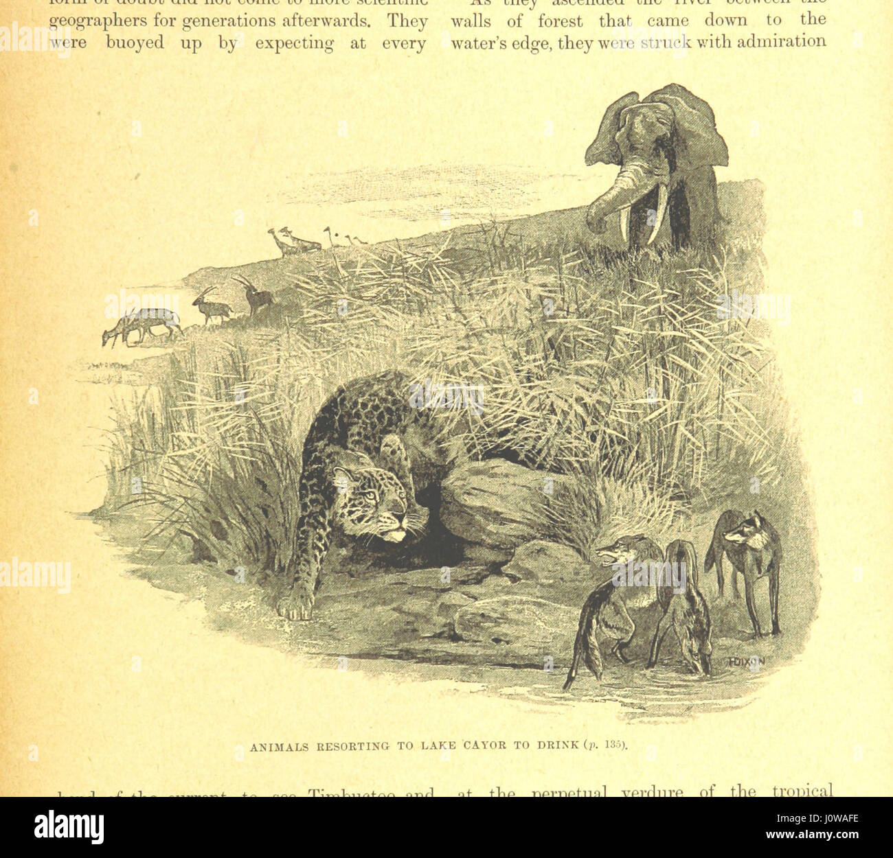 'The Story of Africa and its Explorers' recounts the history of African ...