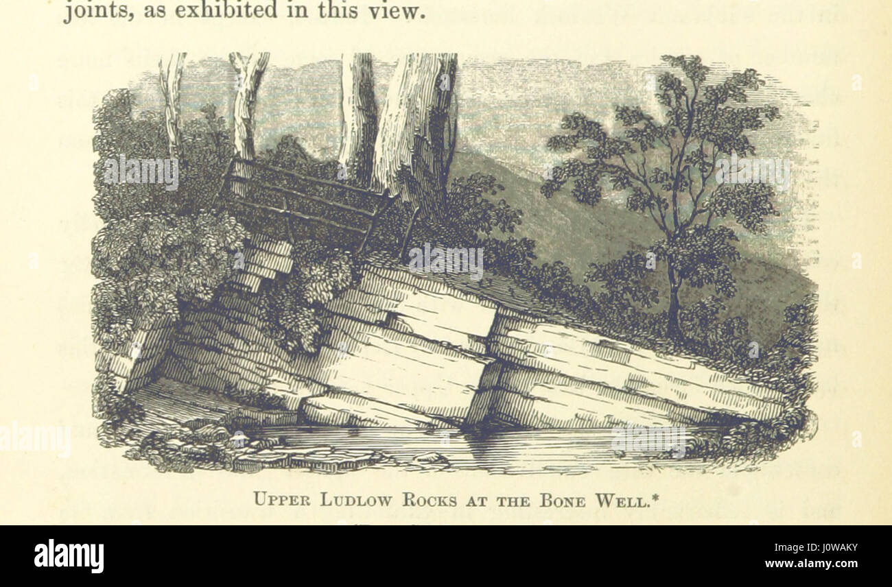 A geological work focusing on the Silurian period, exploring the oldest ...