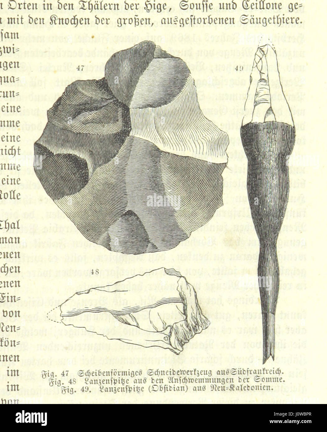 'Der vorgeschichtliche Mensch' explores the origins and development of ...