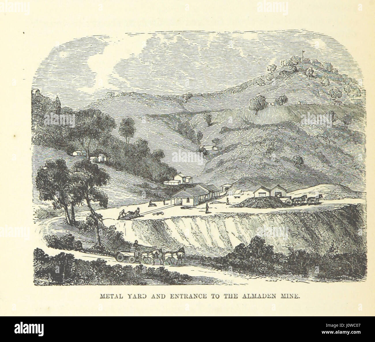 'Scenes of Wonder and Curiosity in California' presents a collection of ...