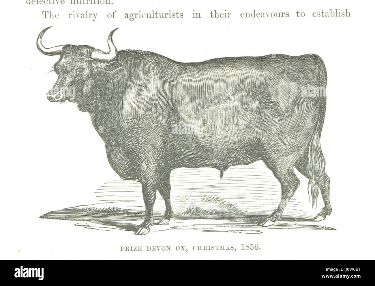 'The History of Progress in Great Britain' covers the key developments ...
