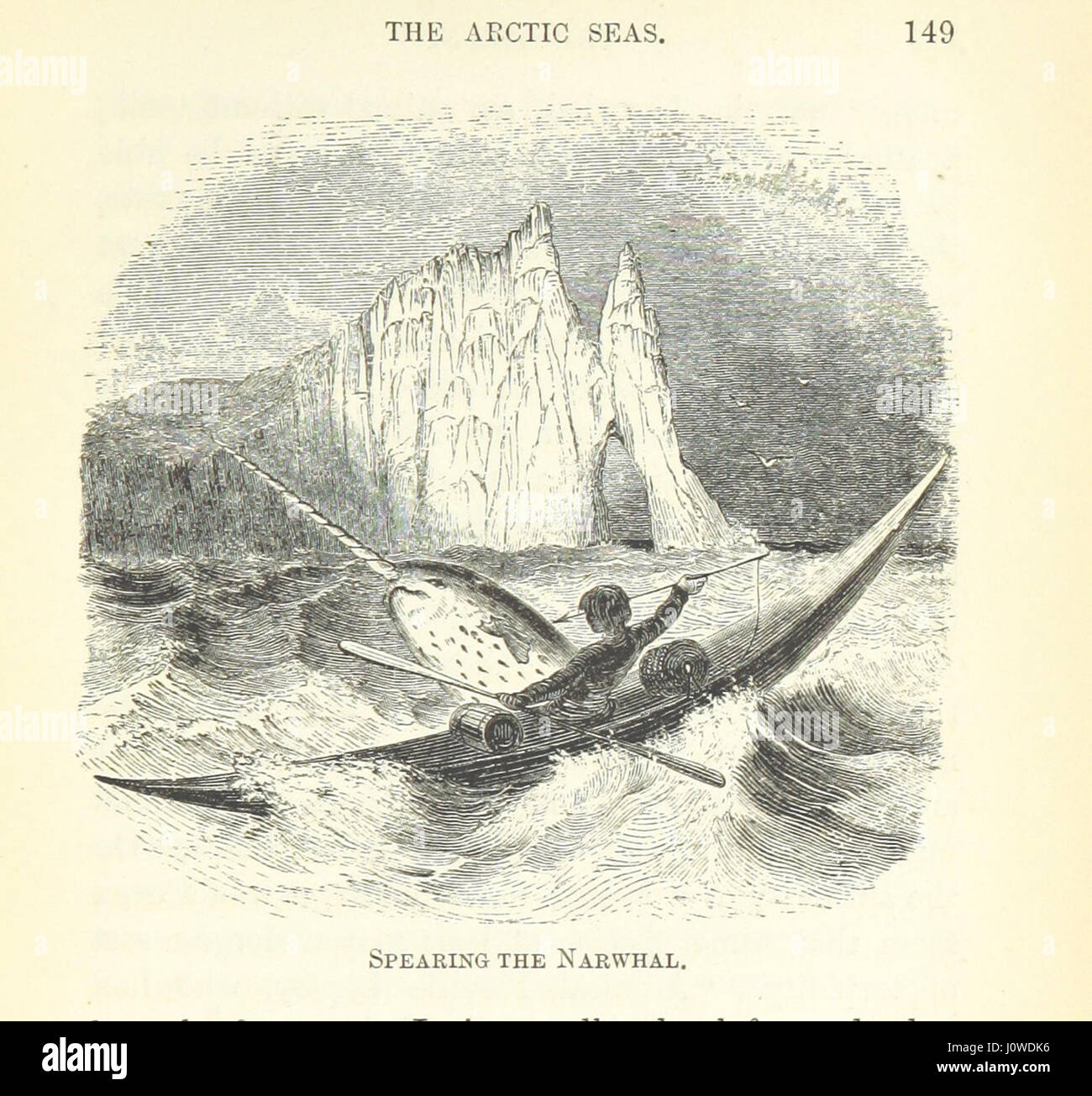 'The Ocean' explores the vastness and significance of the world's ...