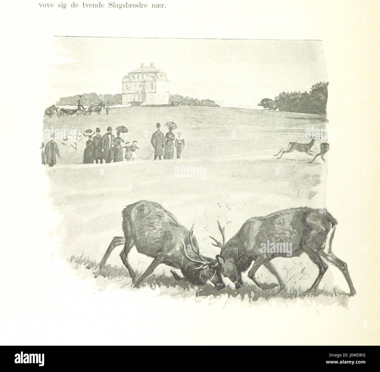 This work focuses on the Danish royal family and its lineage, featuring ...