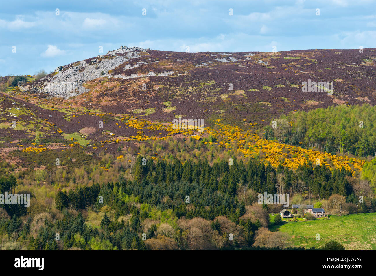 The Rock at the southern end of the Stiperstones ridge, seen from ...
