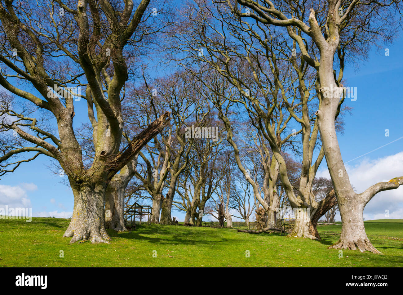 Linley Shropshire High Resolution Stock Photography and Images - Alamy
