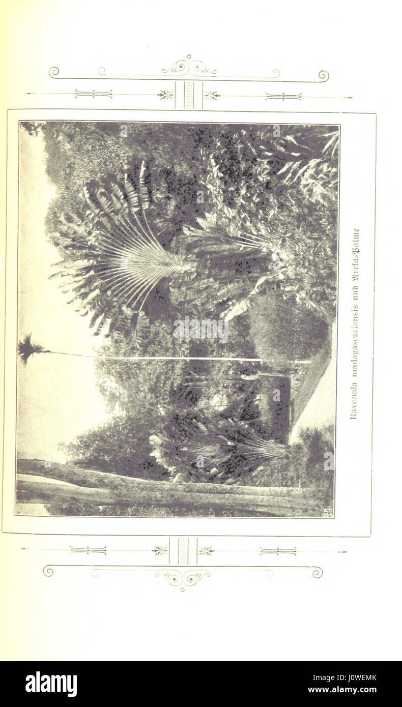 This work explores the island of Ceylon (Sri Lanka), featuring 39 ...