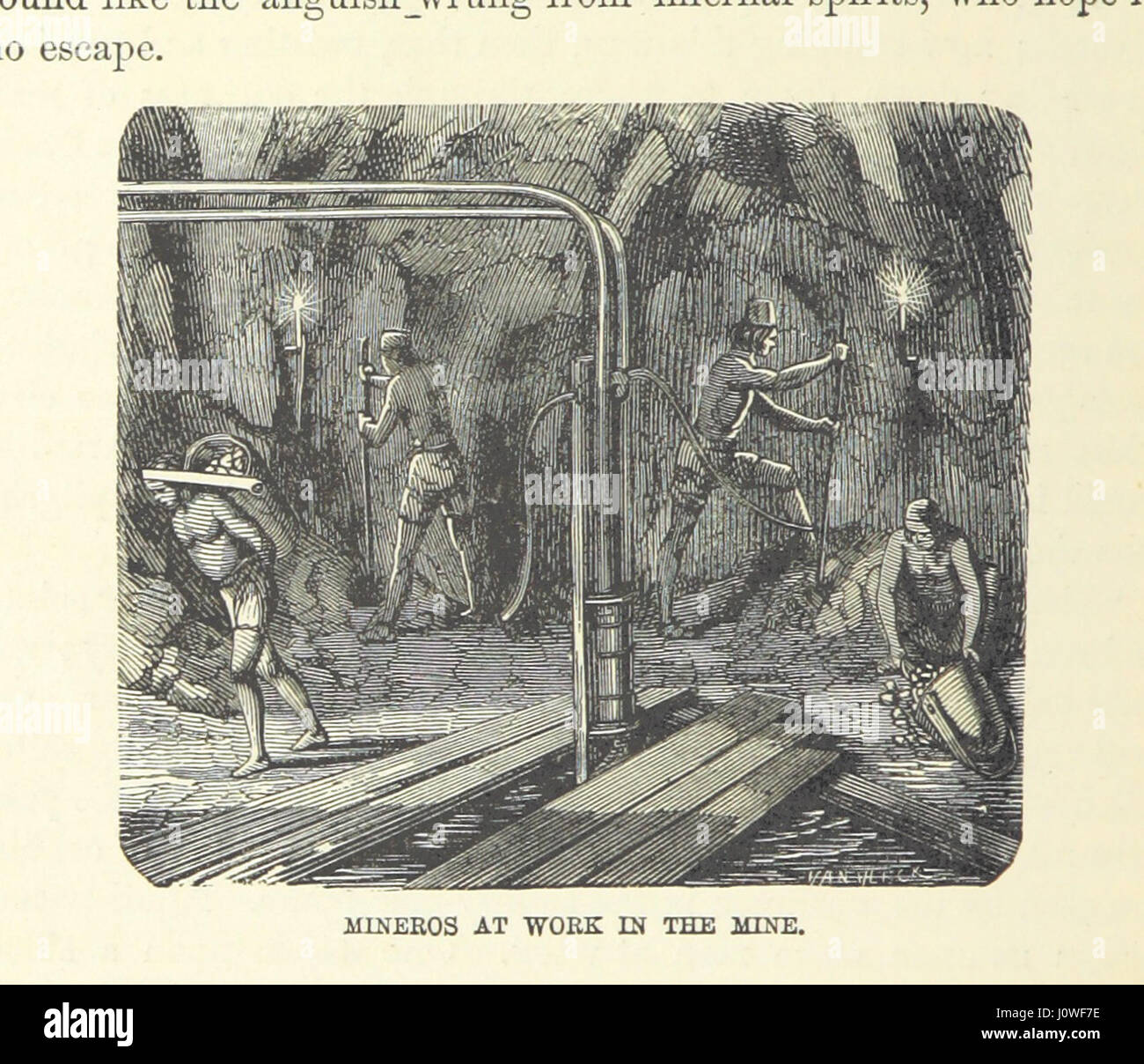 A collection of illustrations showcasing California’s most fascinating ...