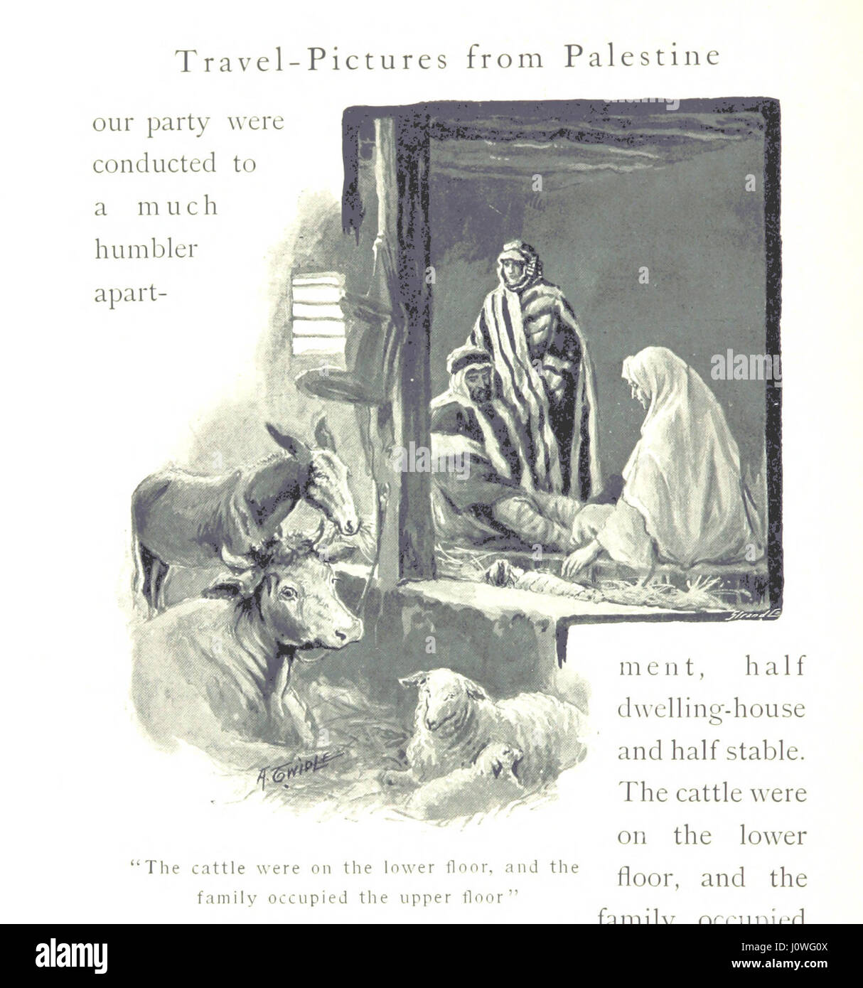 This book, *Travel-Pictures from Palestine*, presents illustrated ...