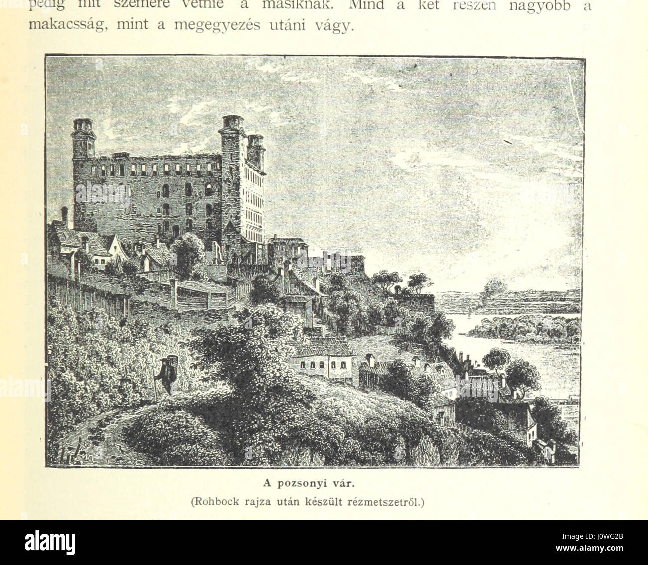 This work, edited by Szilágyi S., presents the history of the Hungarian ...