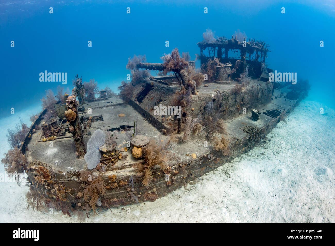 Old, coral encrusted shipwreck on the sea floor Stock Photo - Alamy