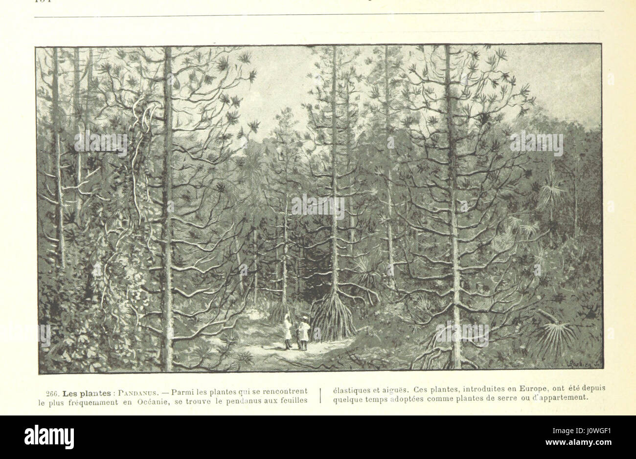 A geographical album featuring a variety of maps and illustrations ...