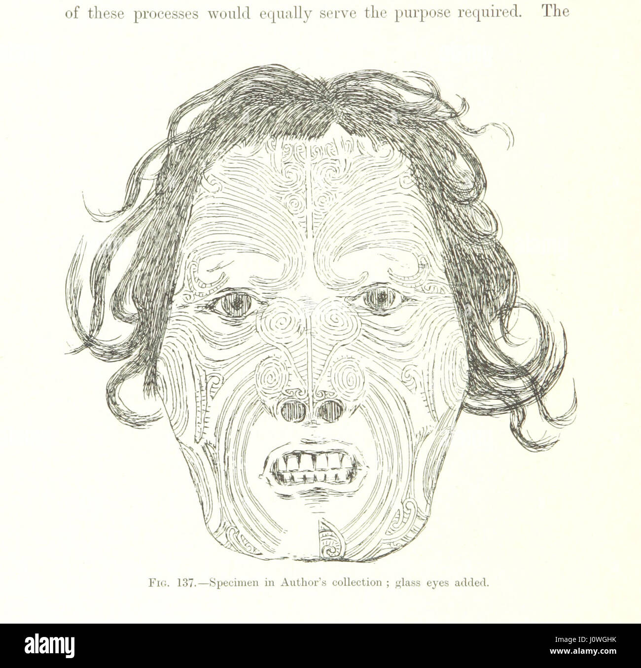 'Moko; or, Maori Tattooing' explores the cultural significance and ...