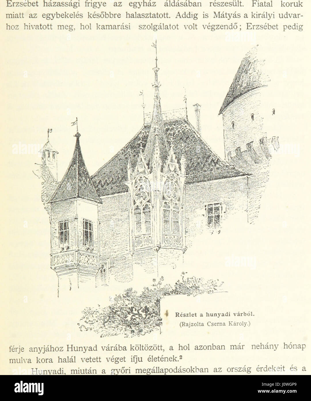 This work, edited by Szilágyi S., presents the history of the Hungarian ...