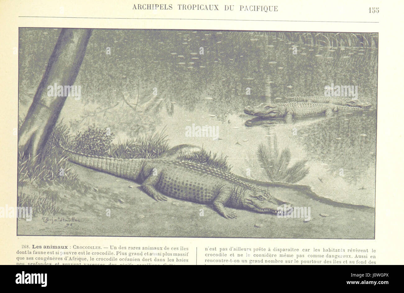 A collection of geographical descriptions and information, presented in ...