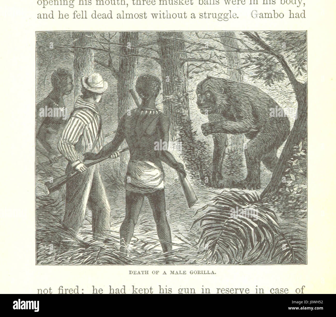 'Wild Life under the Equator' is a book narrated for young readers ...