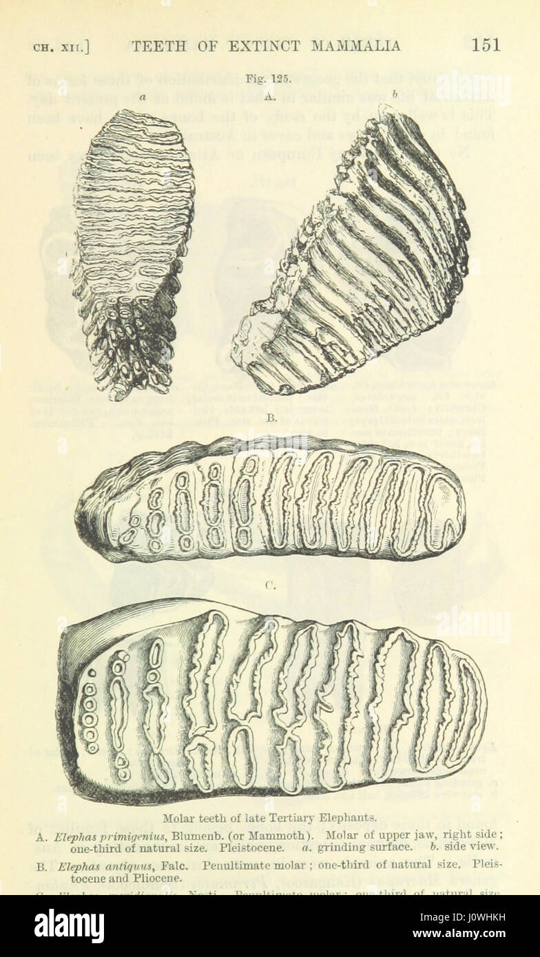 This manual of elementary geology, edited by J.W. Judd, introduces ...