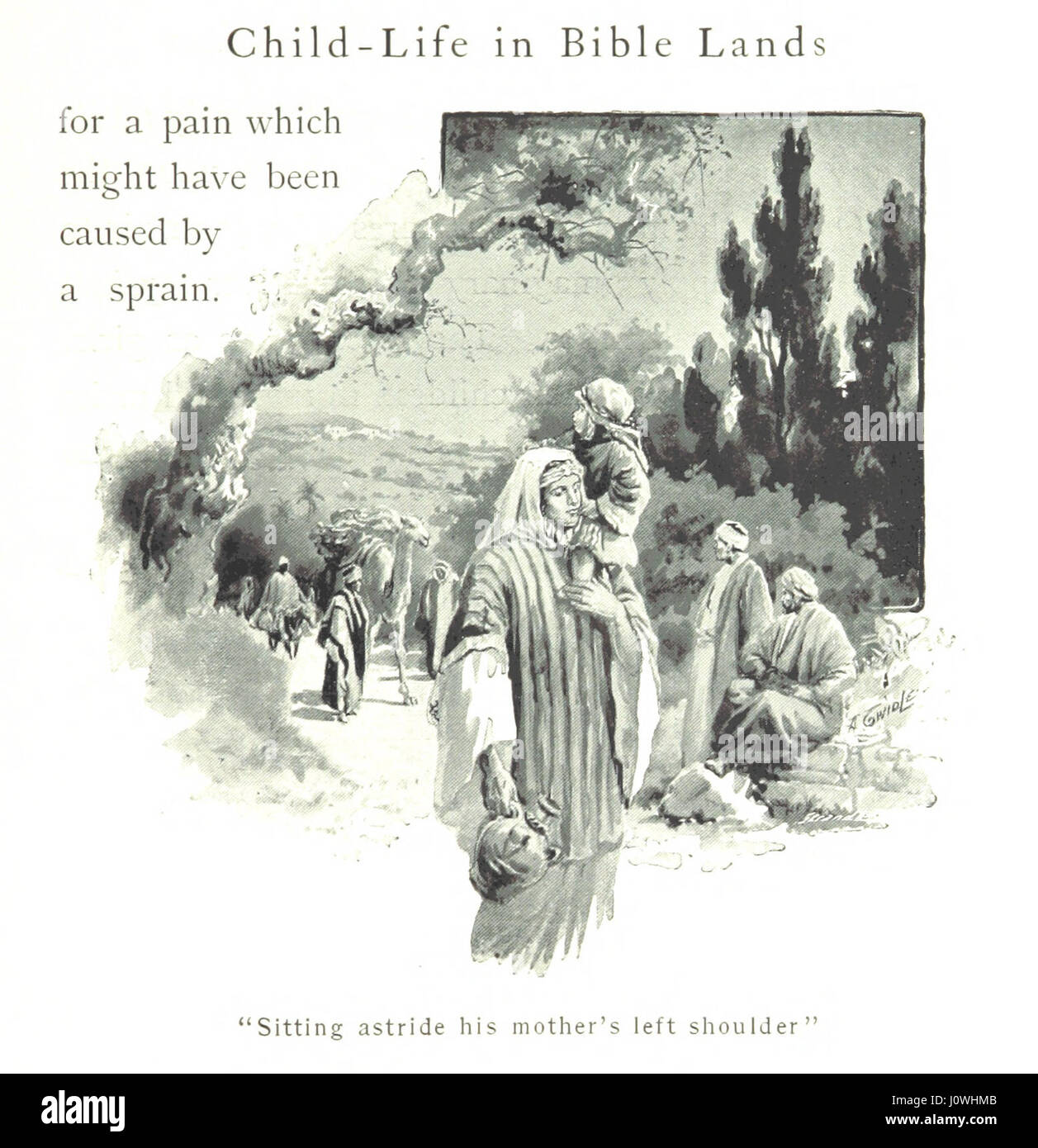 This book presents a visual exploration of Palestine, capturing its ...