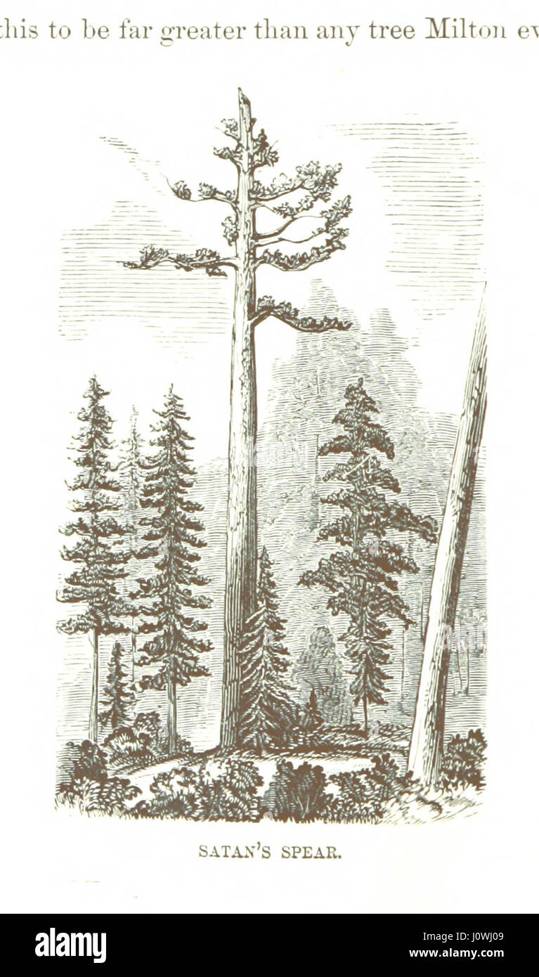 'Scenes of Wonder and Curiosity in California' offers a detailed visual ...