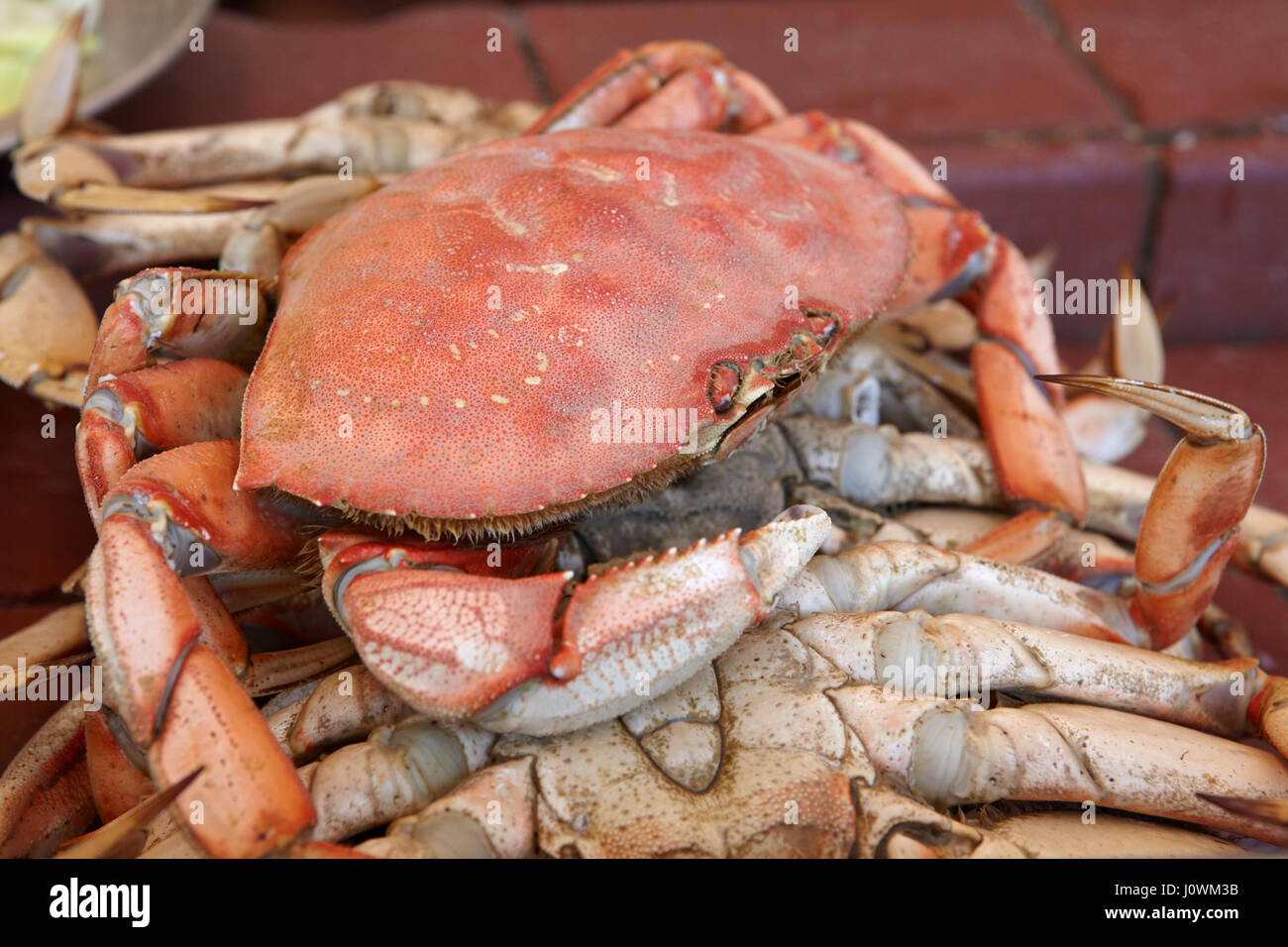 Dungeness crab in Fisherman's Wharf, San Francisco, California, USA ...