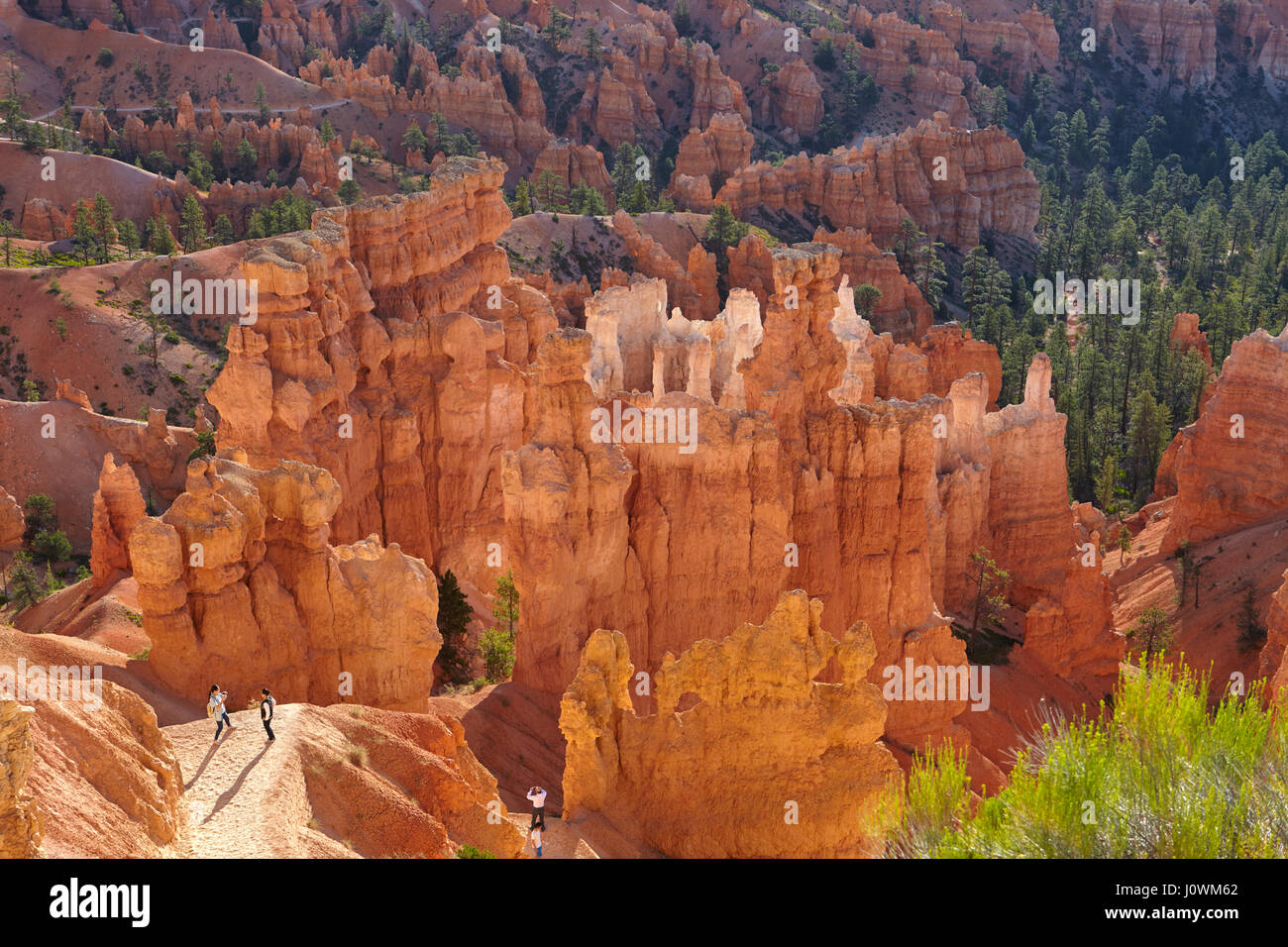 Bryce Canyon, Utah, United States Stock Photo - Alamy