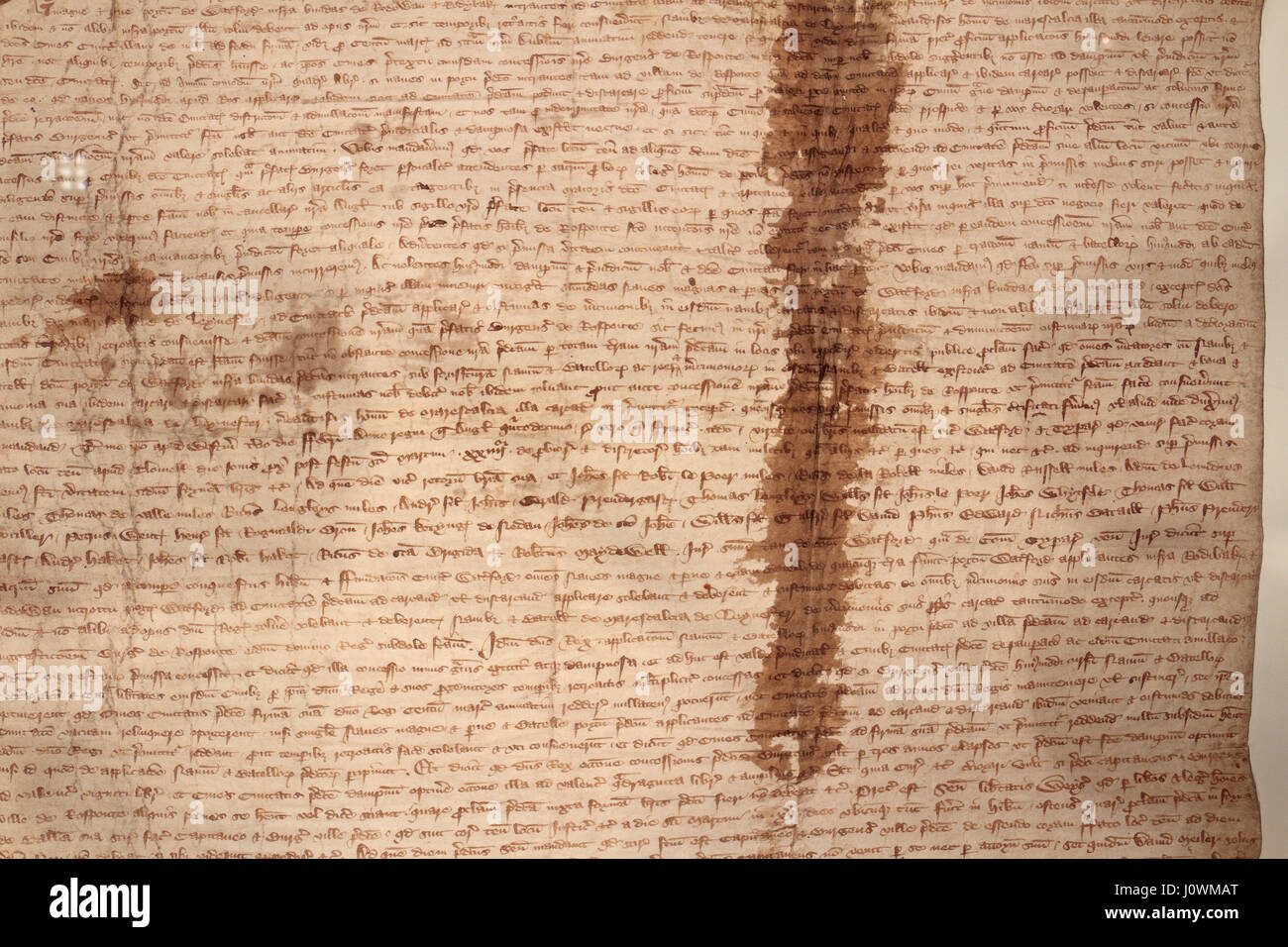 Detail showing some of the scrip on the Medieval Museum, Waterford ...