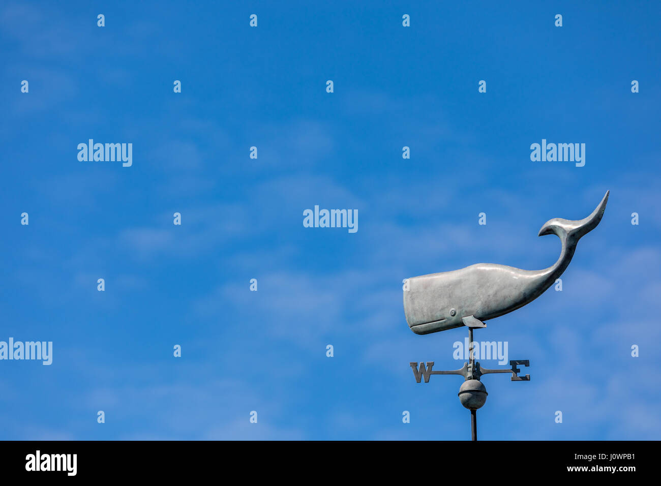 Blue whale mouth hi-res stock photography and images - Alamy