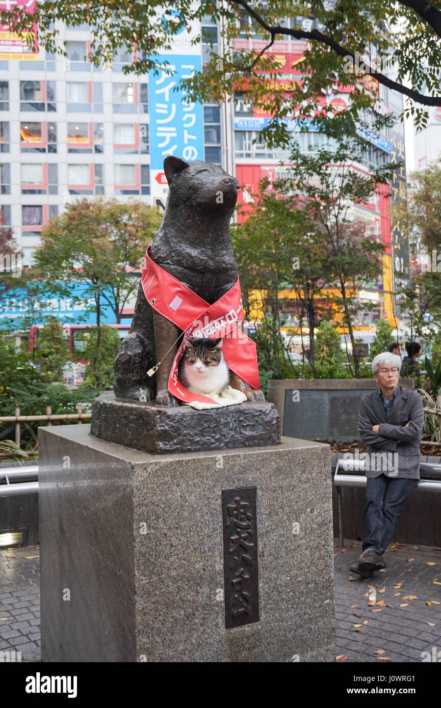 A cat curled up in a bronze statue of the loyal dog Hachiko at Shibuya ...