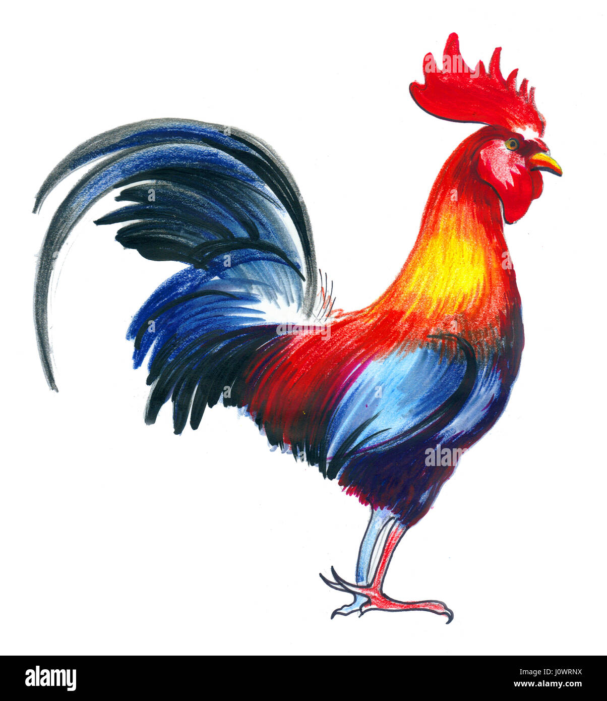 Colorful rooster hi-res stock photography and images - Alamy