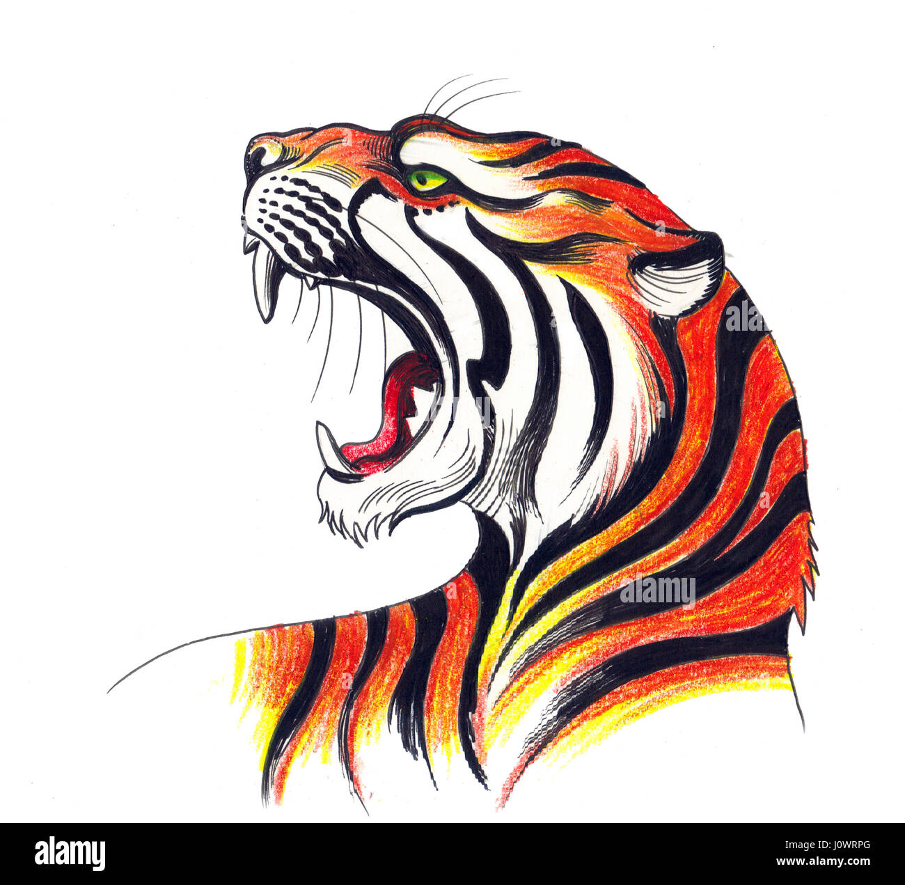 Angry Tiger Side Face