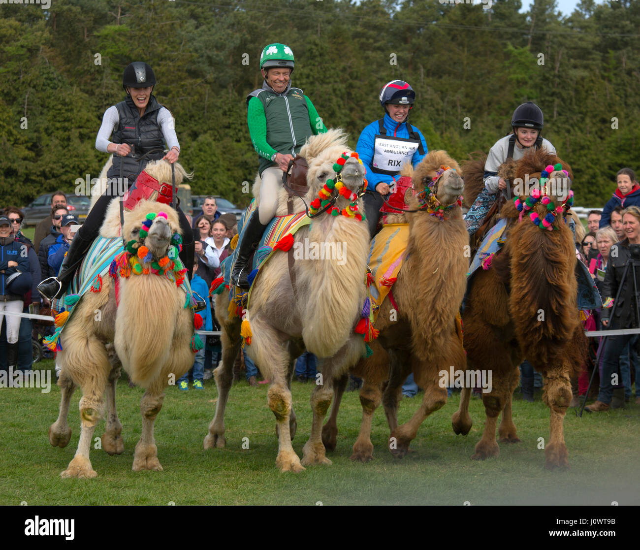 Bactrian camel with rider hi-res stock photography and images - Alamy