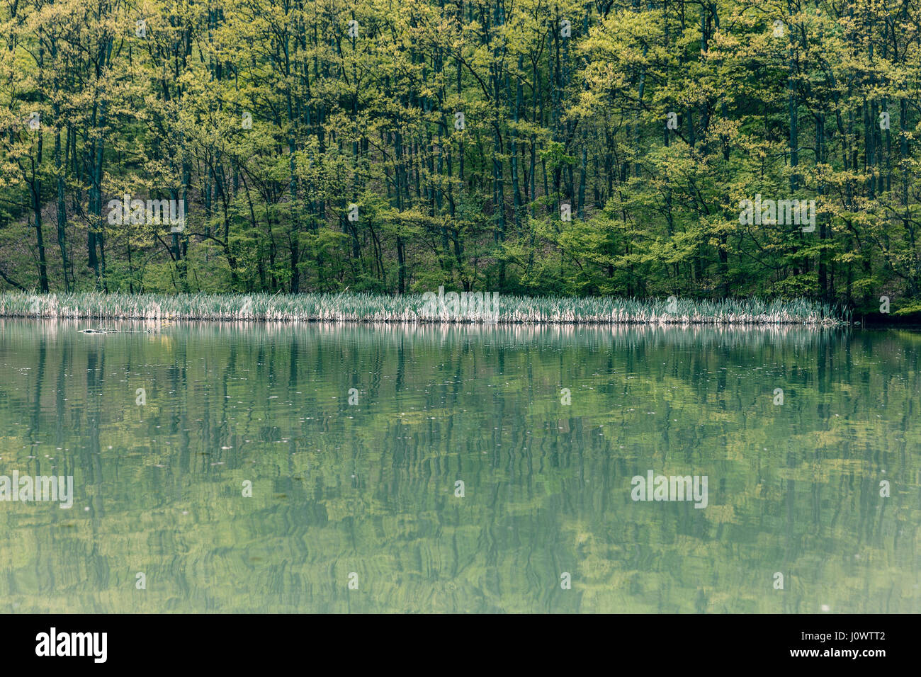 lake, nature landscape water reflection Stock Photo - Alamy