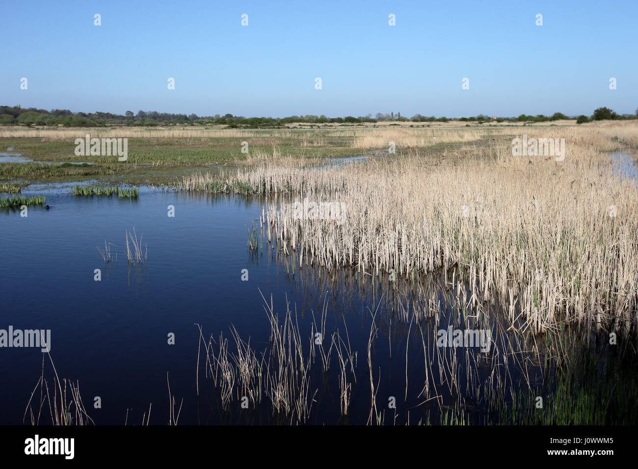 Stodmarsh National Nature Reserve, Kent, April 2017 Stock Photo - Alamy