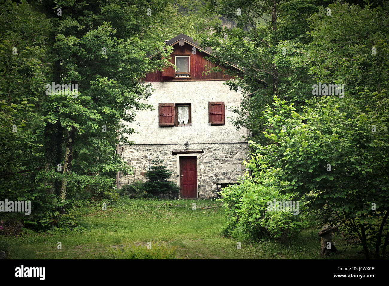 Hidden house in the forest Stock Photo - Alamy