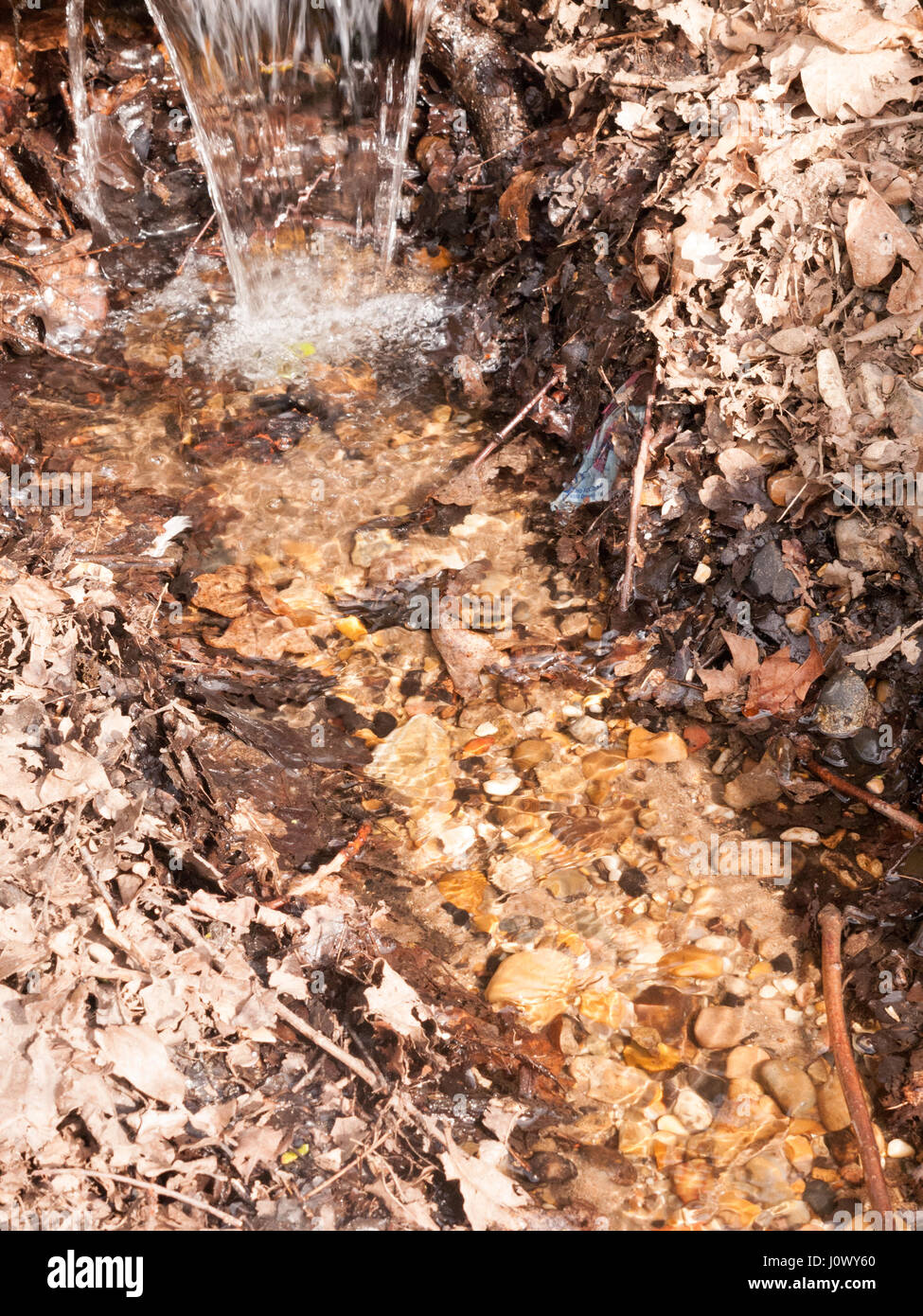 A Stream Running Down Through Colourful Pebbles and with Dead Leaves at ...
