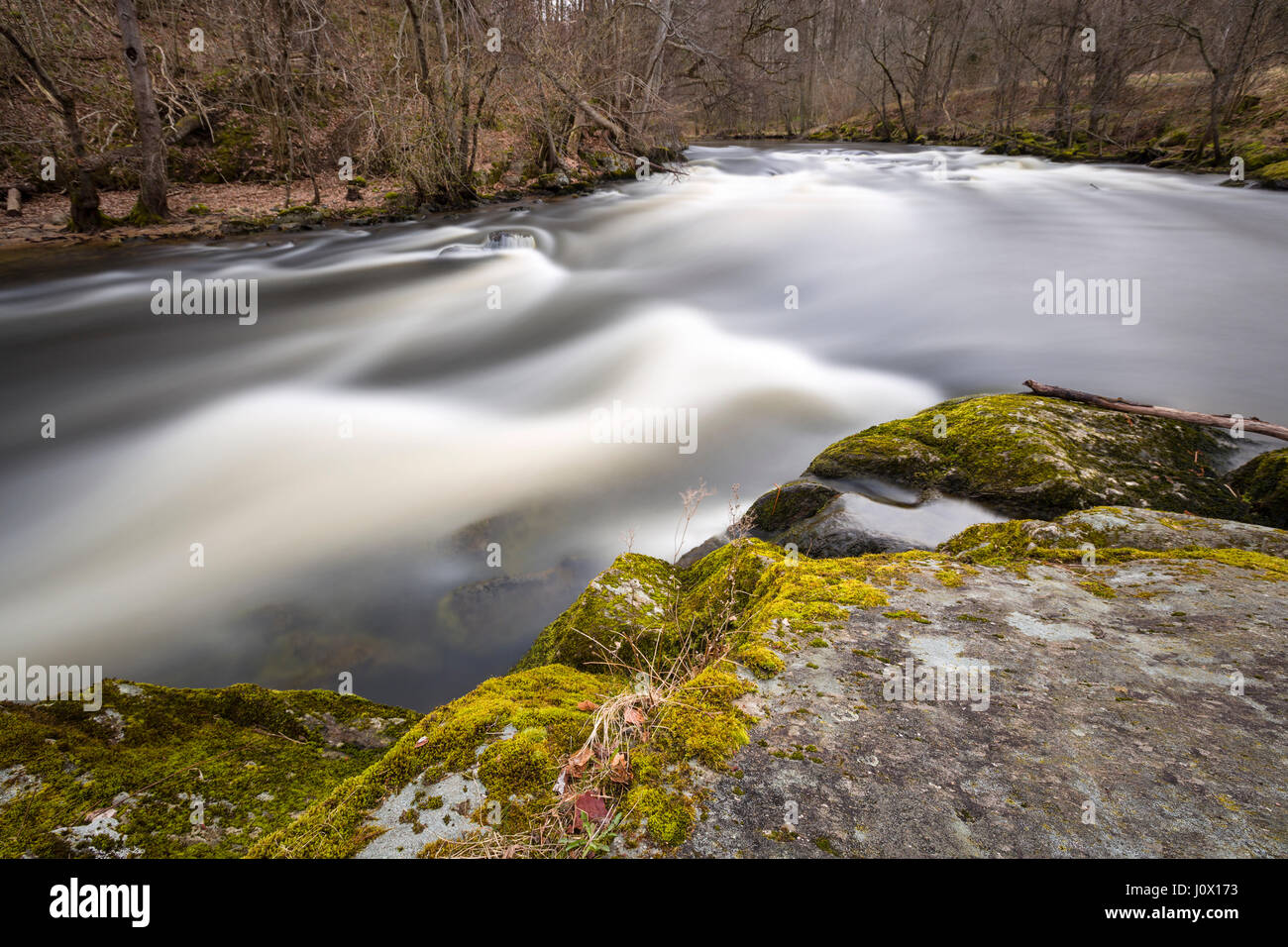 Long exposure view of Säveån river rapids, Säveån nature reserve, Floda ...