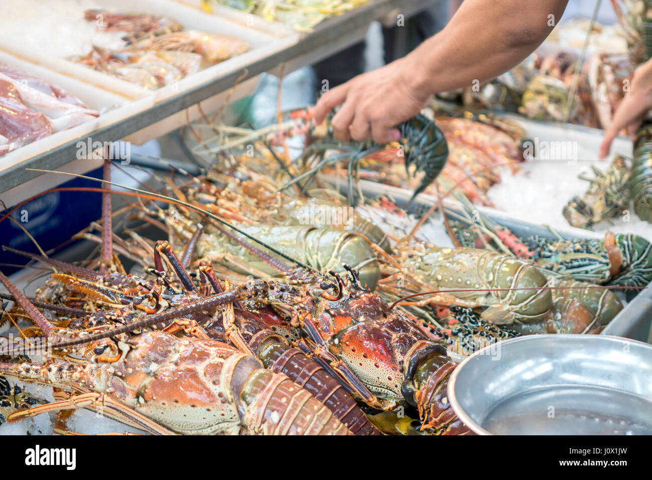 Fresh raw lobsters seafood at a food market stall Stock Photo - Alamy
