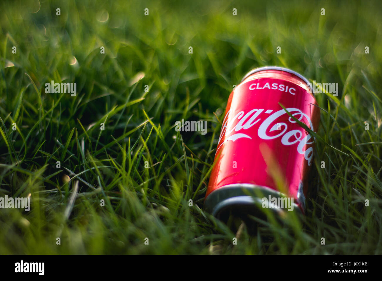 London, UK - March 26, 2017: A can of Coca-cola on green grass in a ...