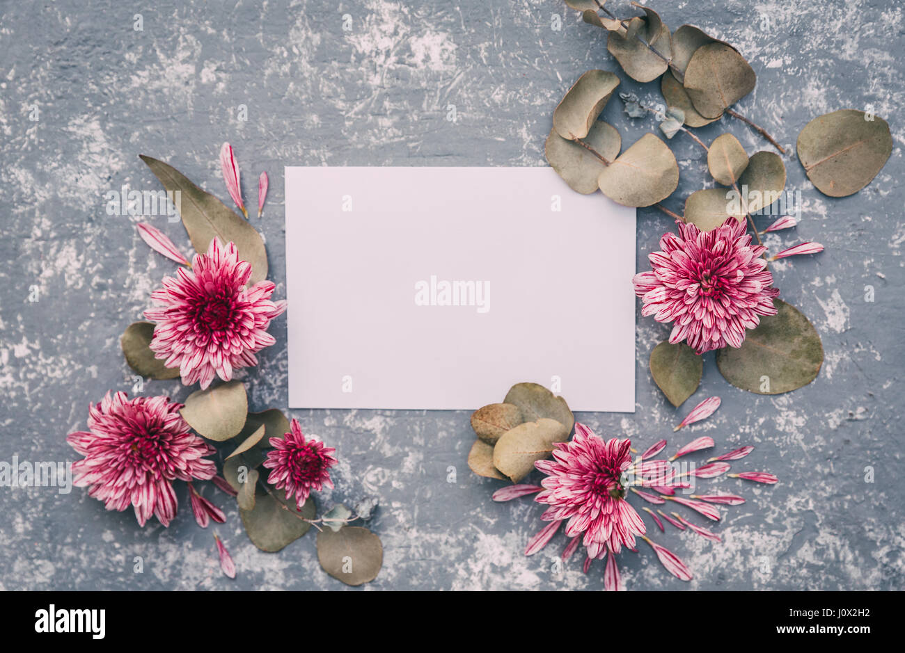 Blank card with flowers Stock Photo - Alamy