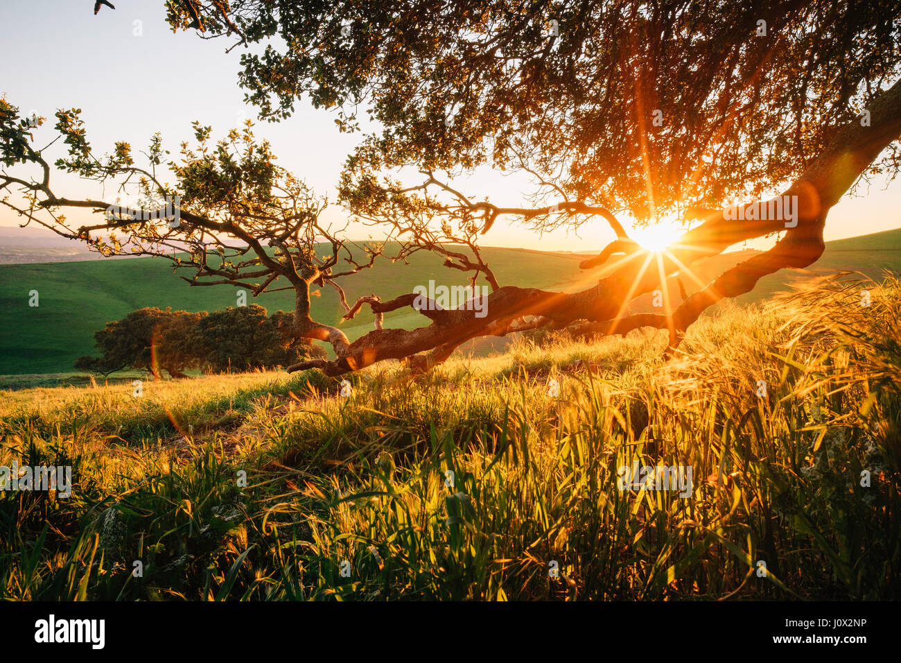 Atmospheric landscape rural hi-res stock photography and images - Alamy