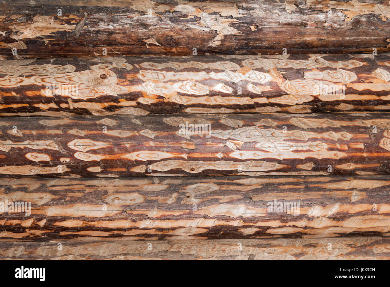 Wooden logs at the intersection in a rural Russian house Stock Photo ...