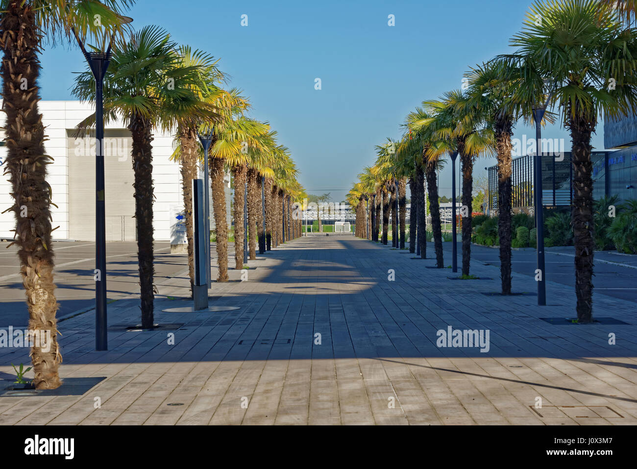 Allée Alexandre Dumas a Bordeaux Stock Photo - Alamy