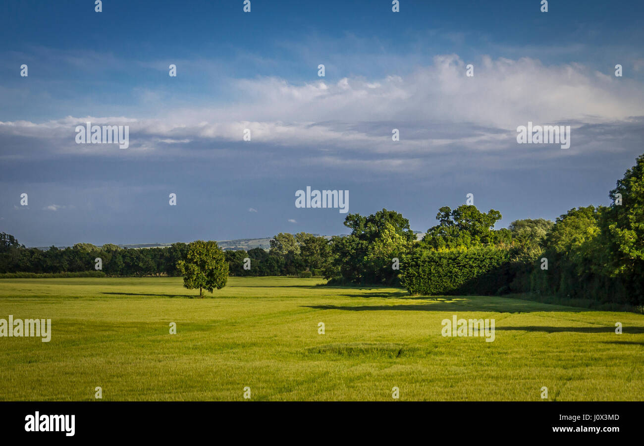 View across field hi-res stock photography and images - Alamy