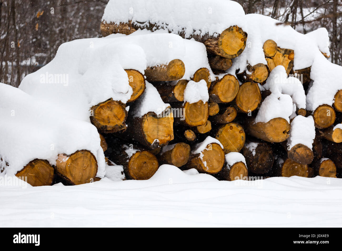 Big log pile covered with snow during a Wisconsin snow fall Stock Photo ...