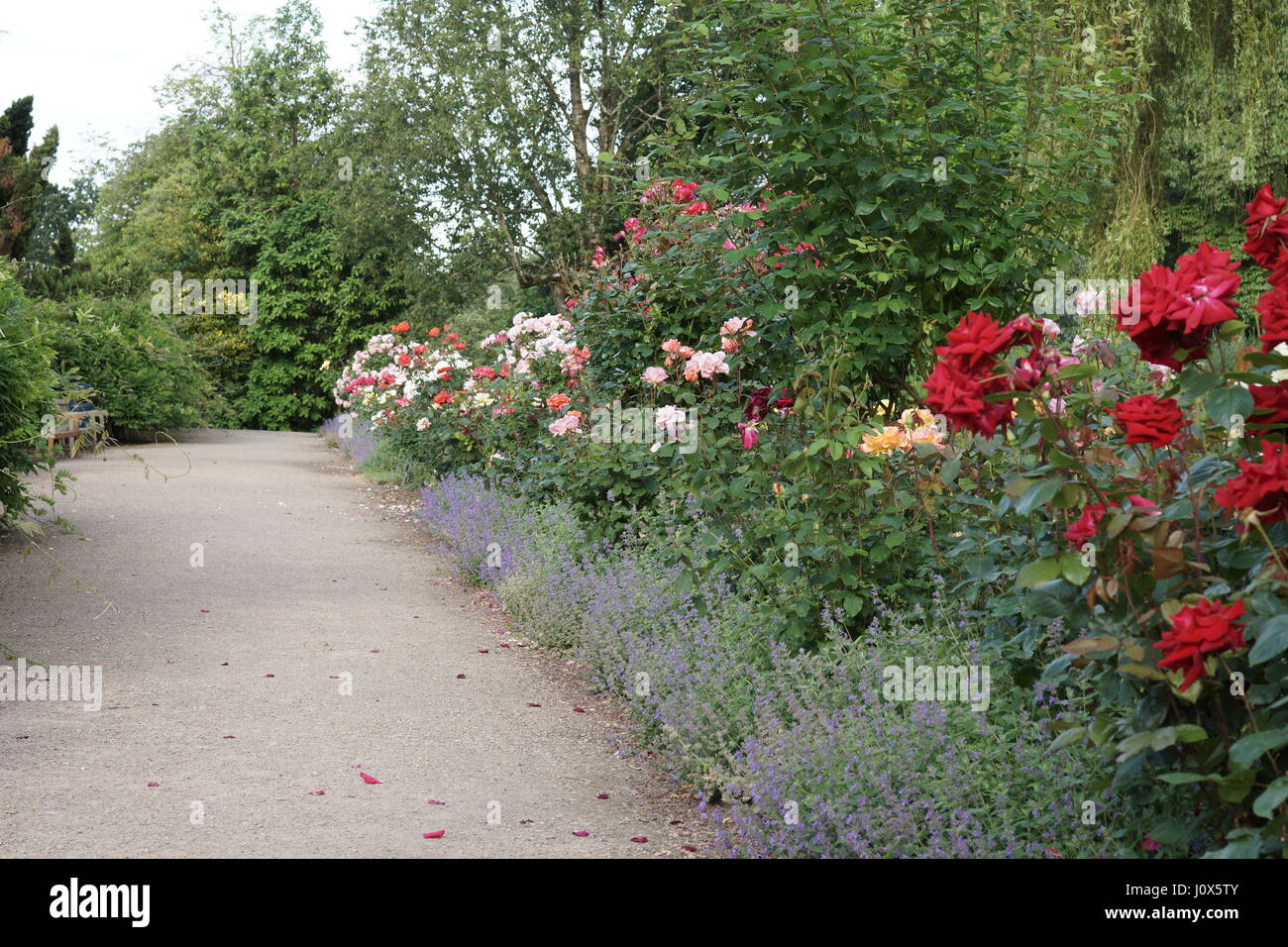 Singleton botanic gardens hi-res stock photography and images - Alamy