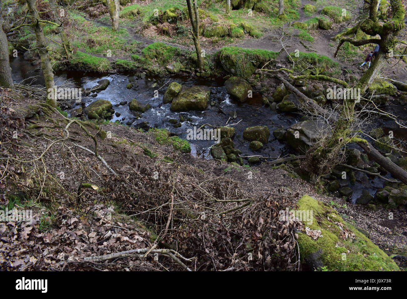 Stream in the peak district in a valley yorkshire derbyshire boarder ...