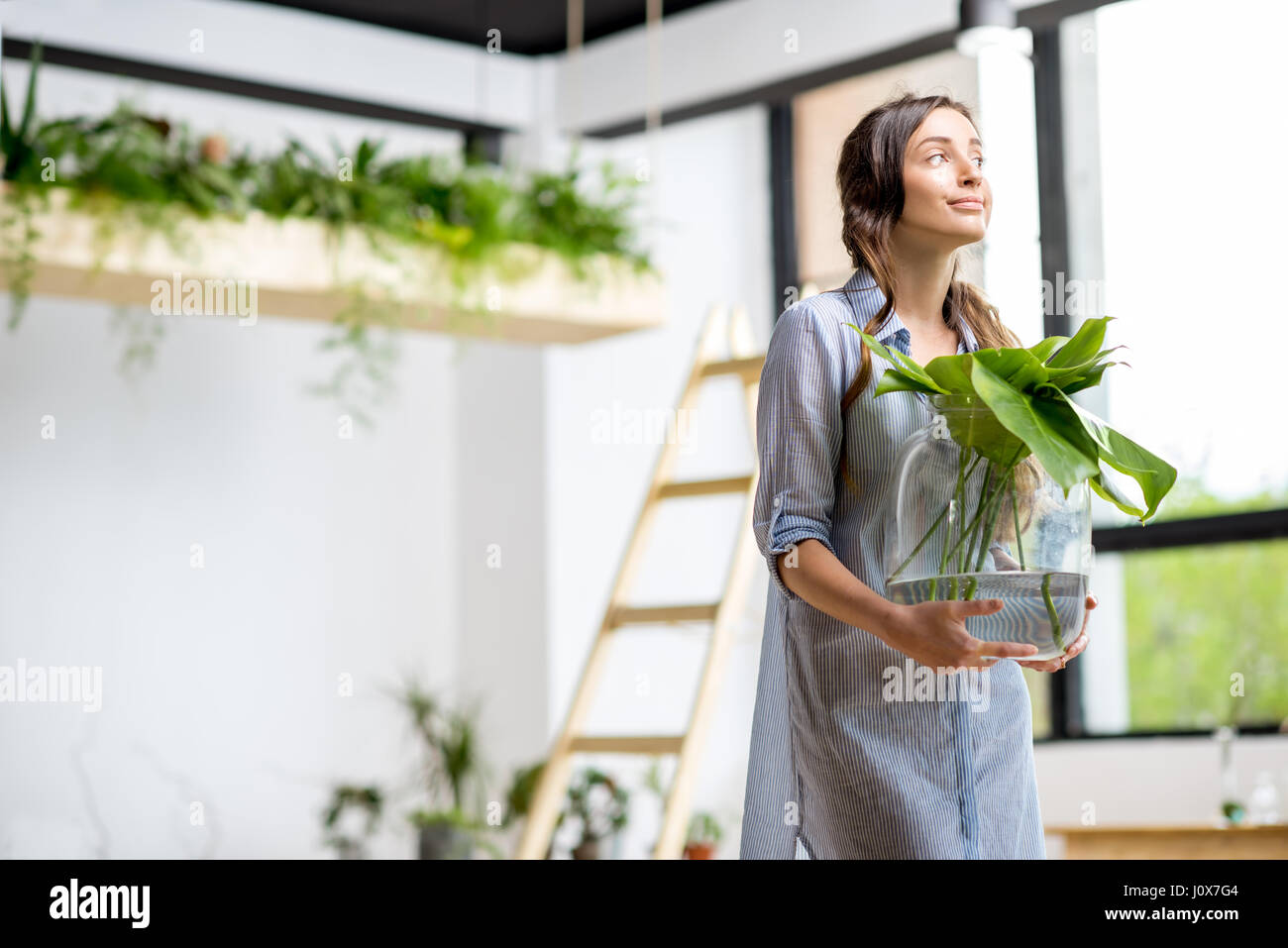 Young woman ladder houseplant hi-res stock photography and images - Alamy