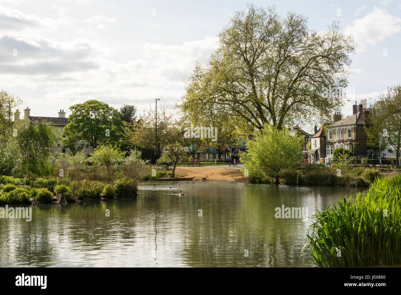 Barnes pond hi-res stock photography and images - Alamy