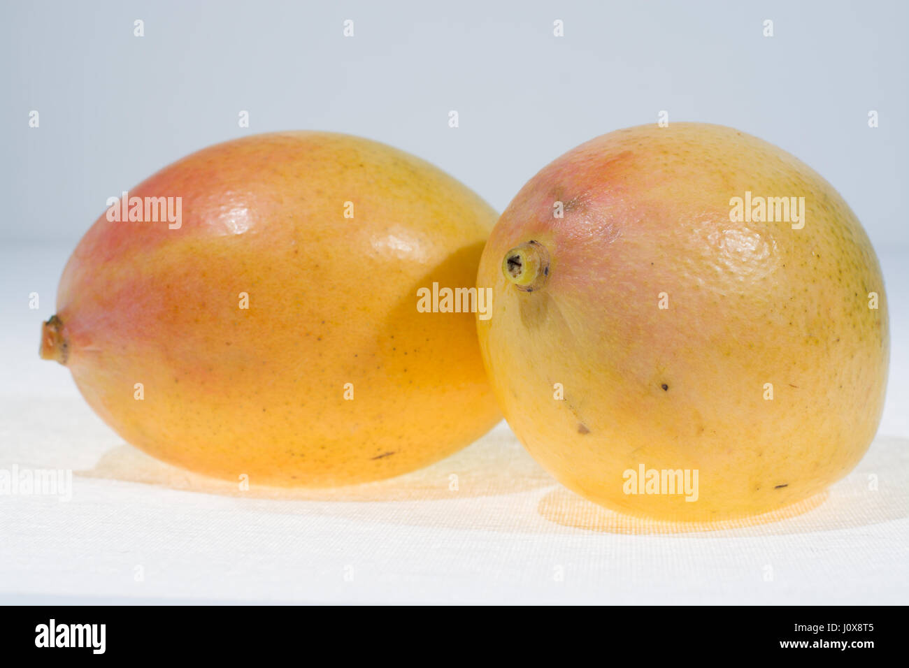 Two ripe organic golden yellow mangoes ready to eat close up Stock ...